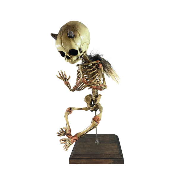 Incubus Demon In Utero Fetus Skeleton – asylumzone