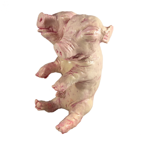 Fetal Pig Siamese Twin Piglet Specimen – asylumzone